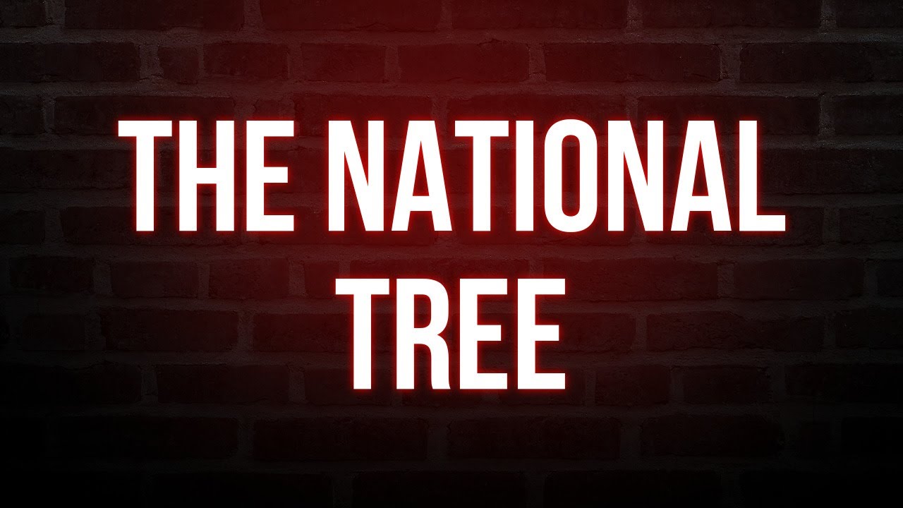The National Tree (2009) - HD Full Movie Podcast Episode | Film Review ...