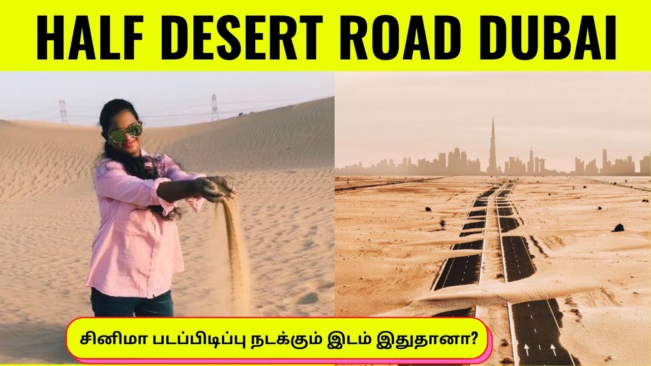 Half Desert Road - Dubai’s most photographed desert | Dune Covered ...