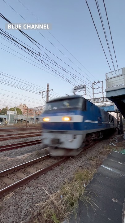 (貨物列車) 2024/12/18 2059レ EF210-124 + コキ20B カンガルーライナーSS60 (陸前山王〜吹田タ) #Shorts - YouTube