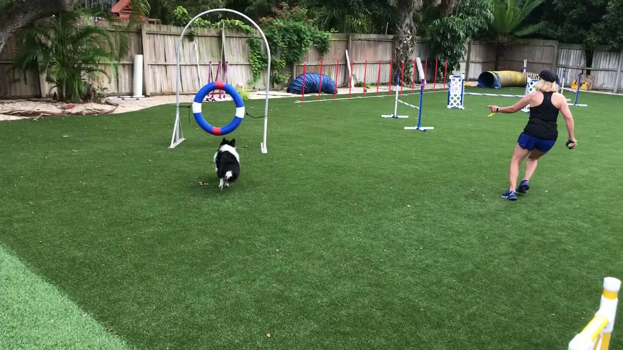 Jump grids - YouTube