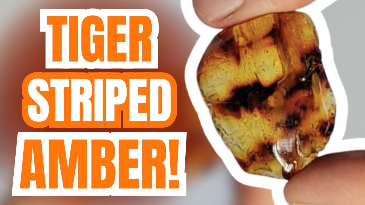 Tiger-Striped Amber - YouTube