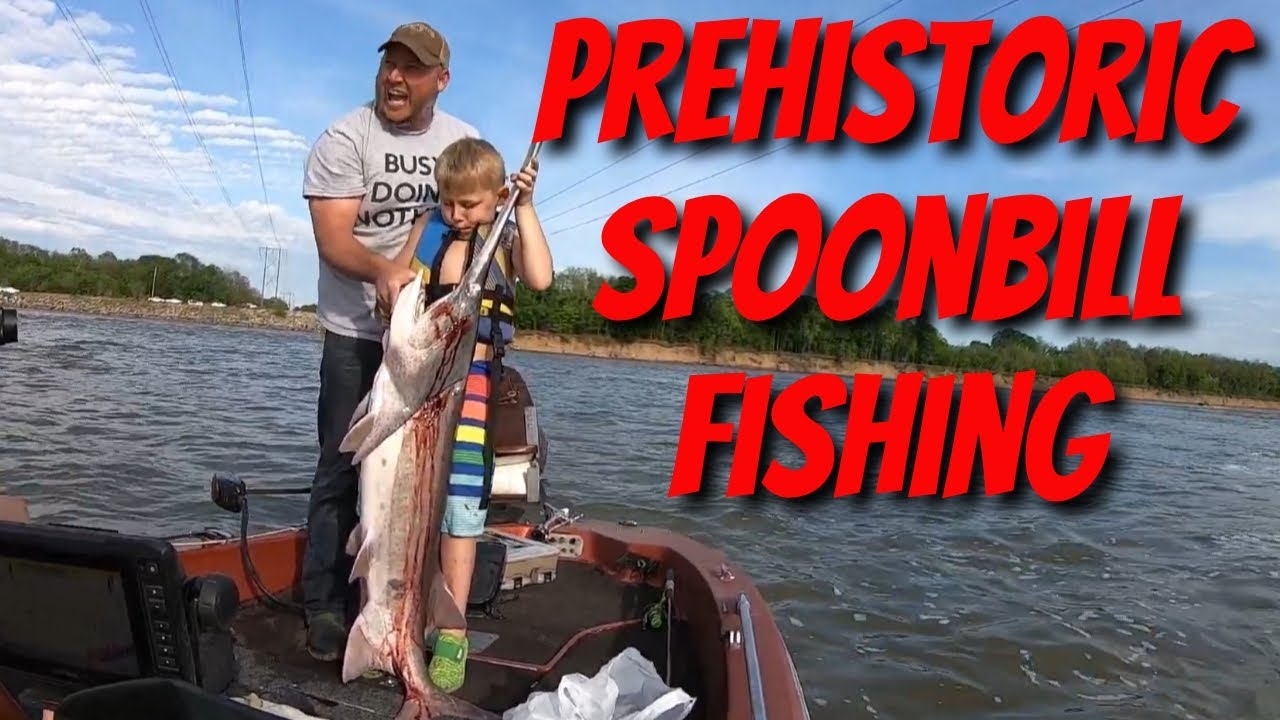 Prehistoric fishing! paddlefish / spoonbill - YouTube
