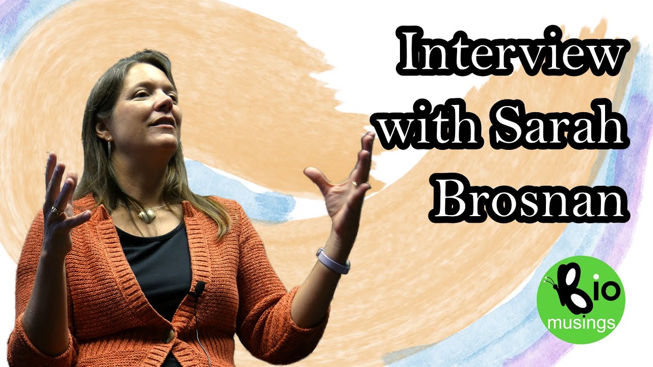 The Evolution of Cooperation | Interview with Sarah Brosnan ...