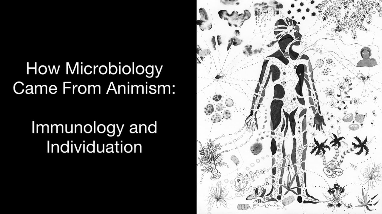 Microbiology Came From Animism: Immunology and Individuation - YouTube