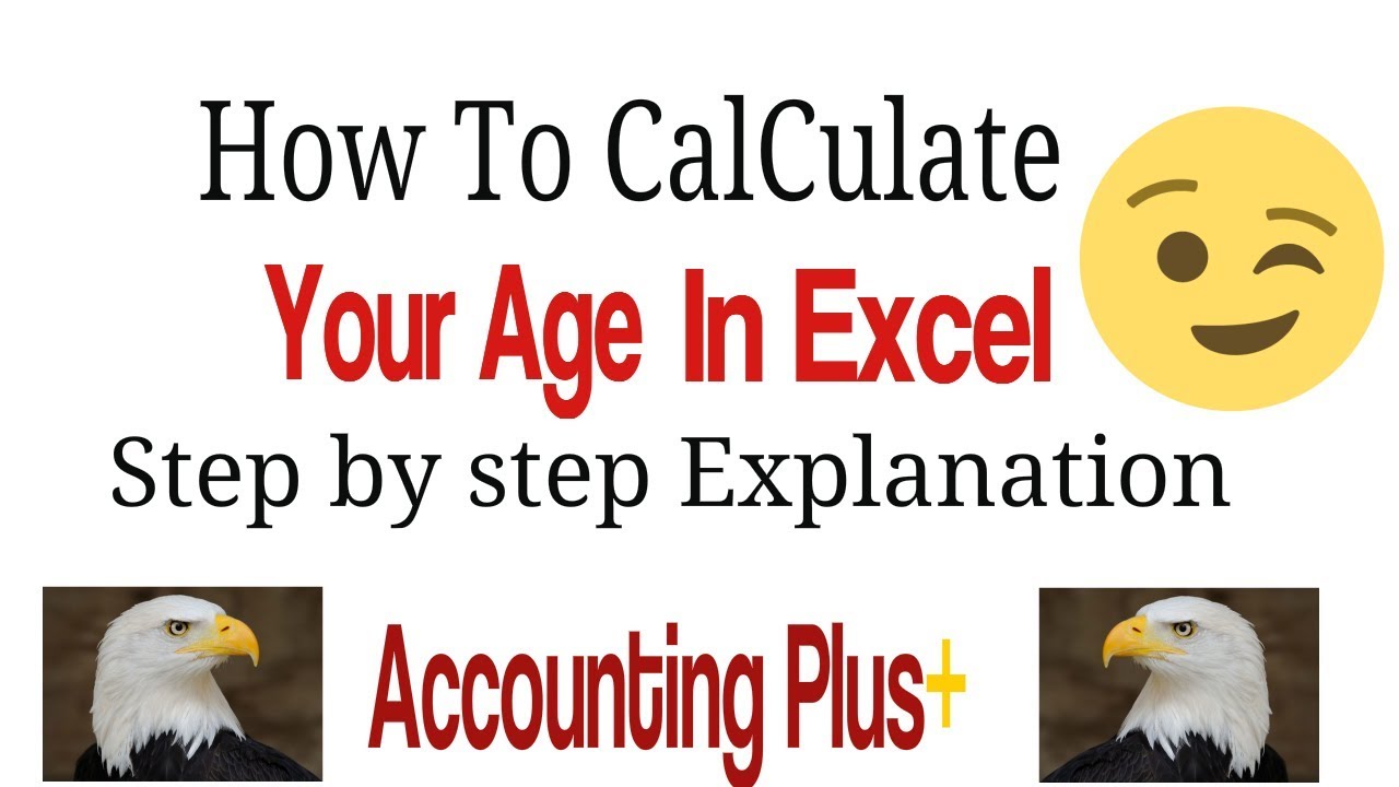 How To Calculate Age From Date Of Birth In Excel 2019 YouTube how-to-calculate-age-from-date-of-birth-in-excel-2019-youtube