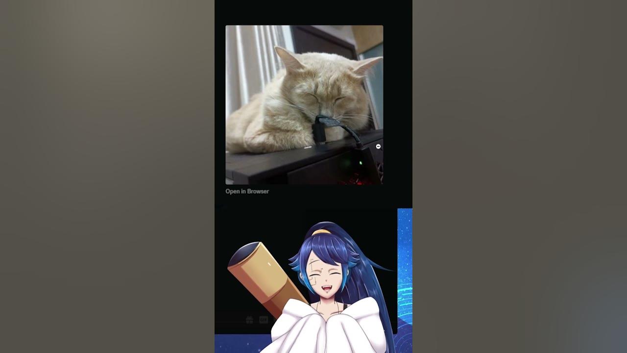 The Most EVIL FELINE real YouTube the-most-evil-feline-real-youtube