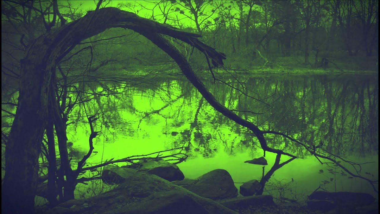 Down - Lifer [HD] Lyrics - YouTube Music