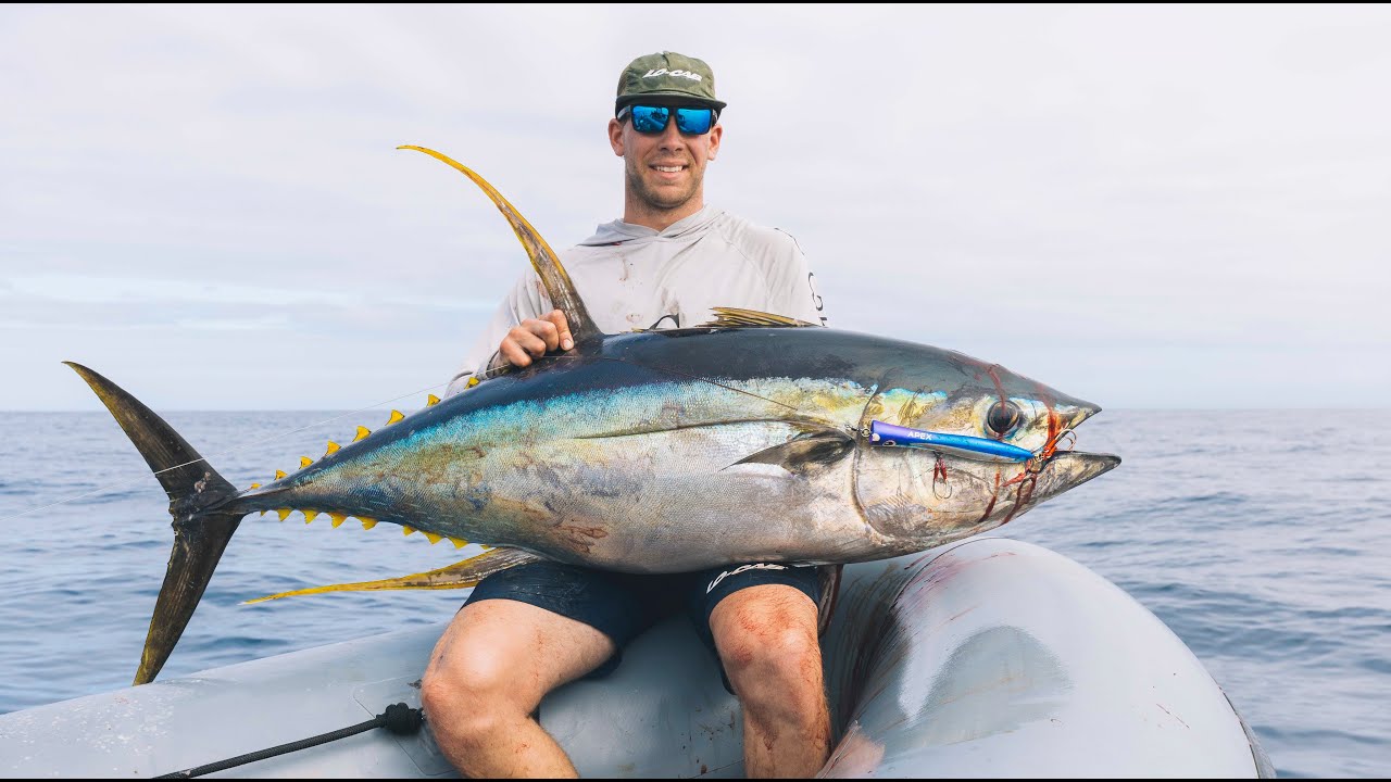 New Zealand Topwater Yellowfin Tuna From an Inflatable - YouTube