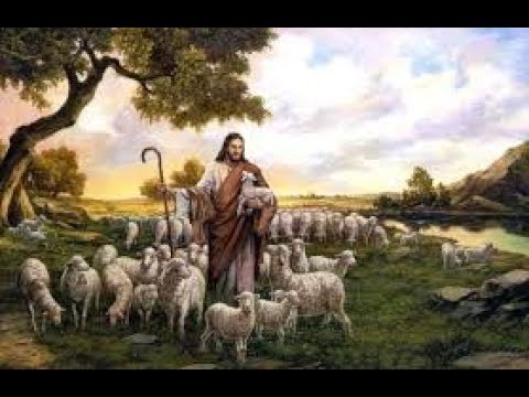 The Good Shepherd & His Sheep. John 10:1-18 - YouTube