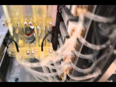 Errors Erma PCE 210 - YouTube