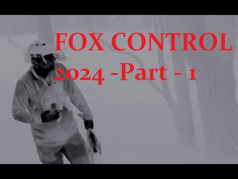 Fox Control - Australia 2024 - YouTube