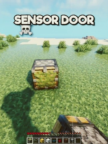Minecraft Sensor Door💀 #minecraft #minecraftgameplay #gaming # ...