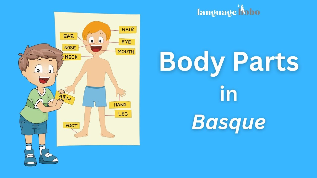 Body Parts in Basque - Learn 34 Body Parts in Basque (with audio and ...