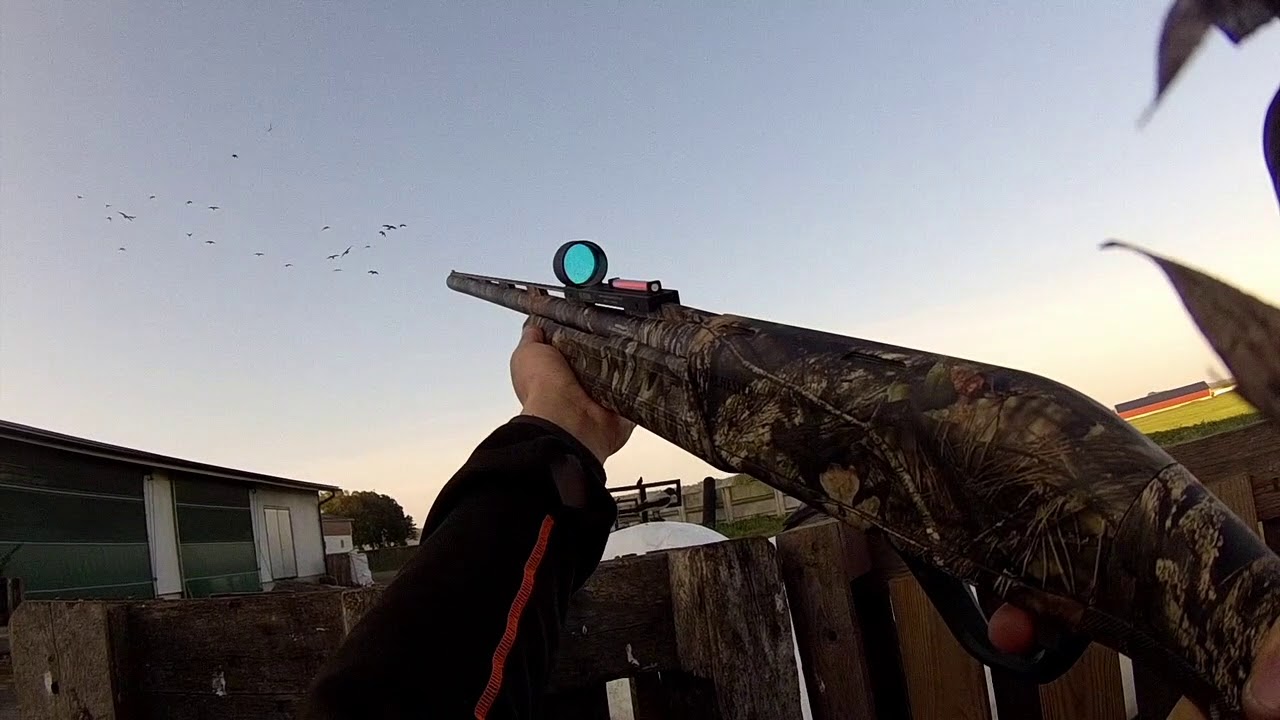 Winghunting02 - YouTube