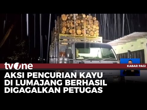 Petugas Ciduk Terduga Pelaku Pencurian Kayu Milik Perhutani | Kabar Pagi tvOne