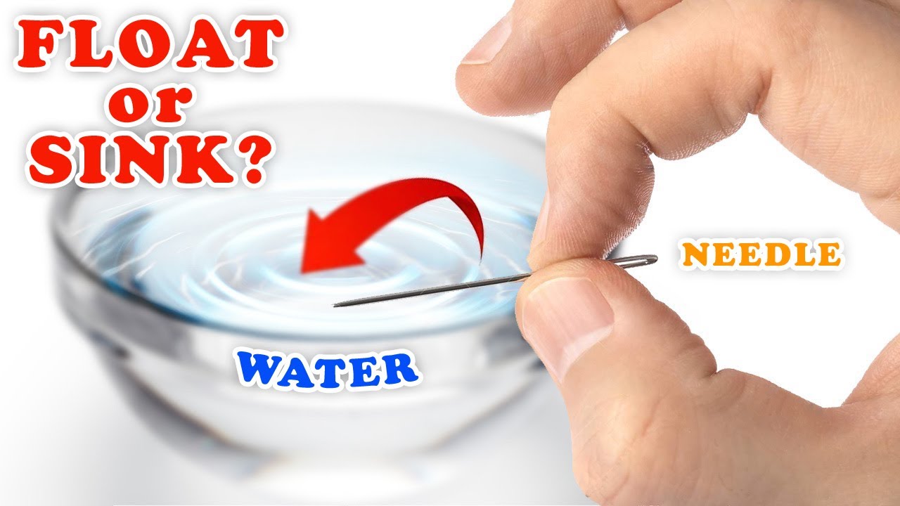 Can it Float on Water? Amazing Trick - YouTube