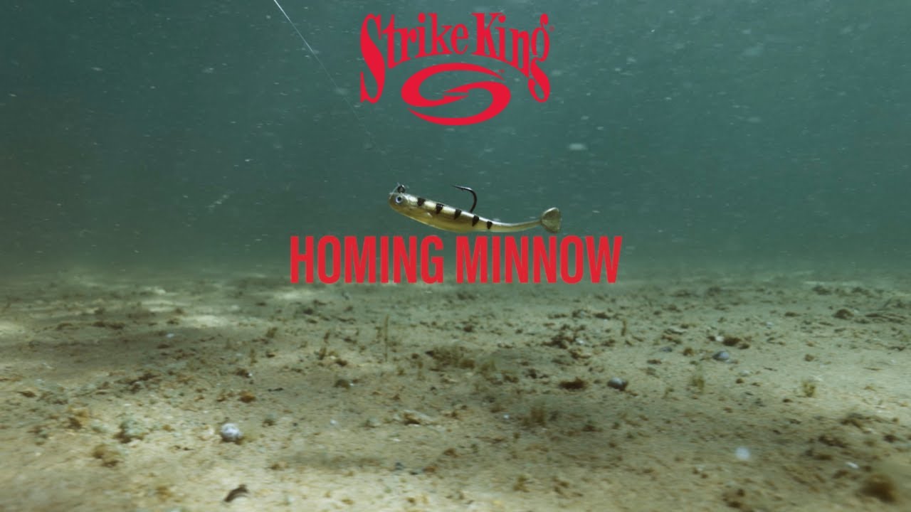 Strike King Homing Minnow [ICAST 2024] - YouTube