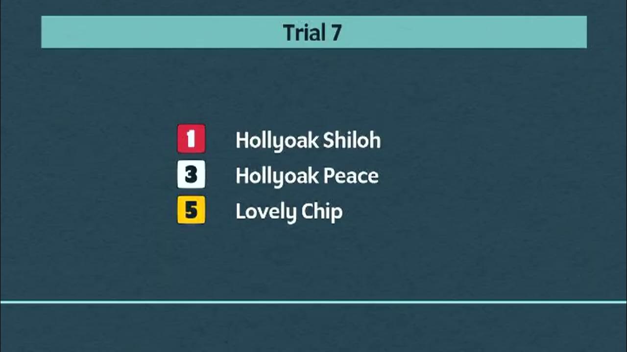 Central Park Greyhounds Trials on 11th May 2024 - YouTube Central Park Greyhounds Trials on 11th May 2024 - YouTube