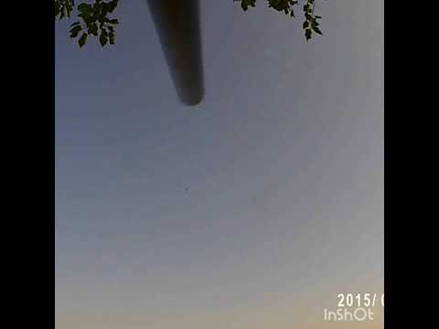 2018 üveyik avı-1 dove hunting