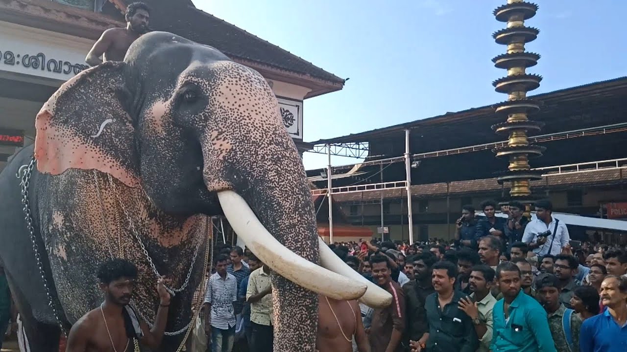 Omallur govindankutty and Puthuppally sadhu mass entry vaikom mahadeva ...