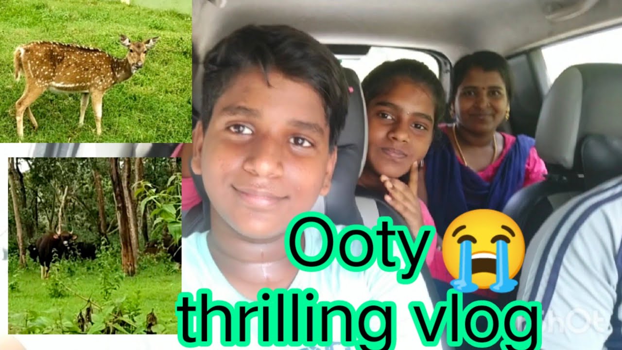 Chennai to Ooty via forest thrilling experience || wild animals | Ooty ...
