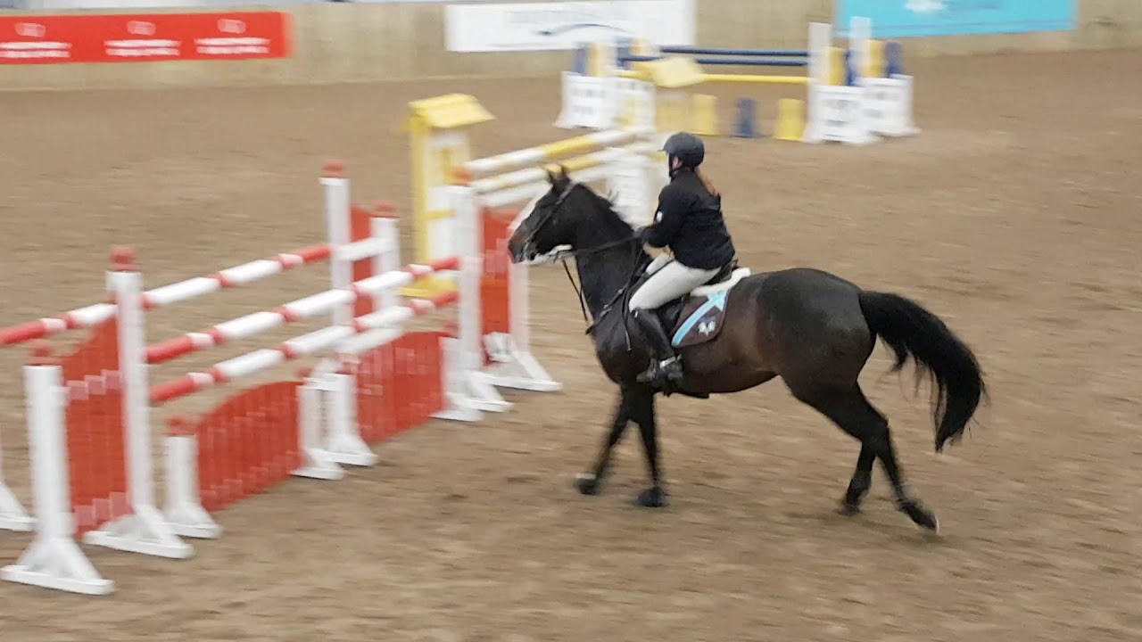 Athena - 1.20m Open, Hartpury Arena, 20/05/17 - YouTube