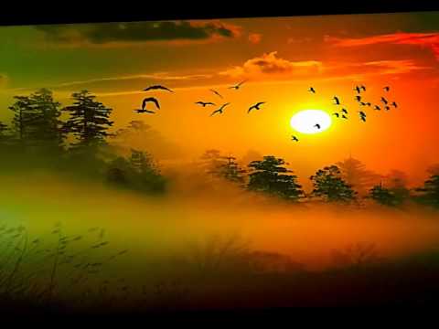 T-Connection - Disco Magic - YouTube