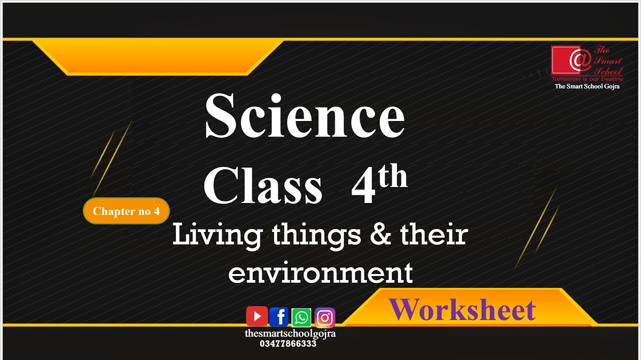 Living Things And The Environment Worksheet