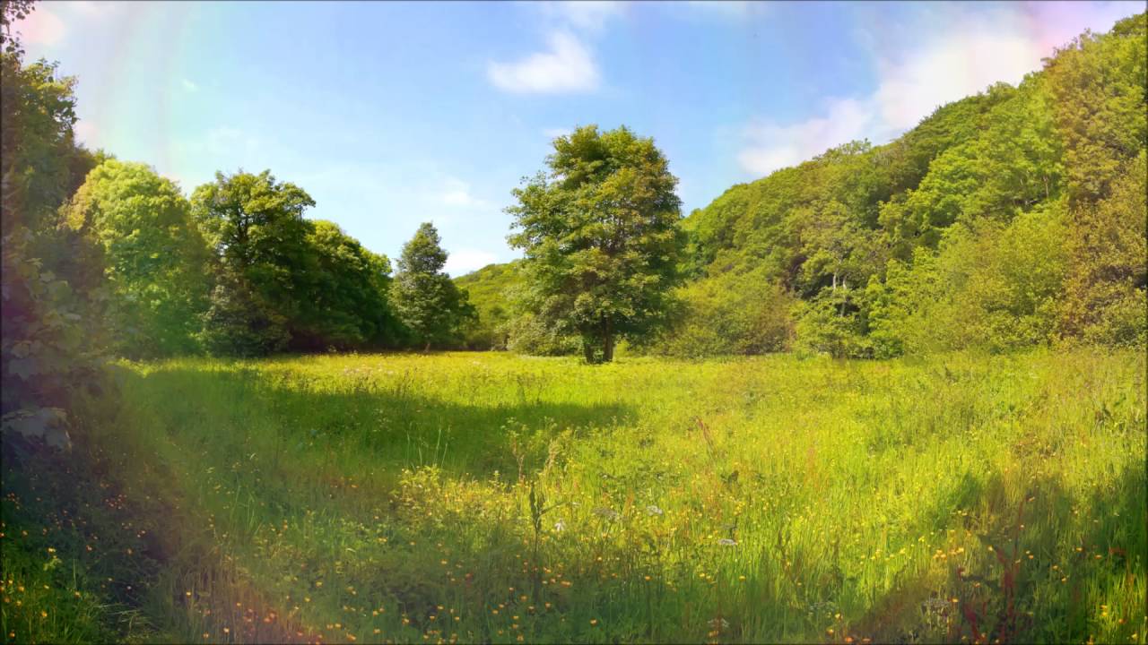 "Explorative Nature" Original Composition by Rebecca Tripp - YouTube