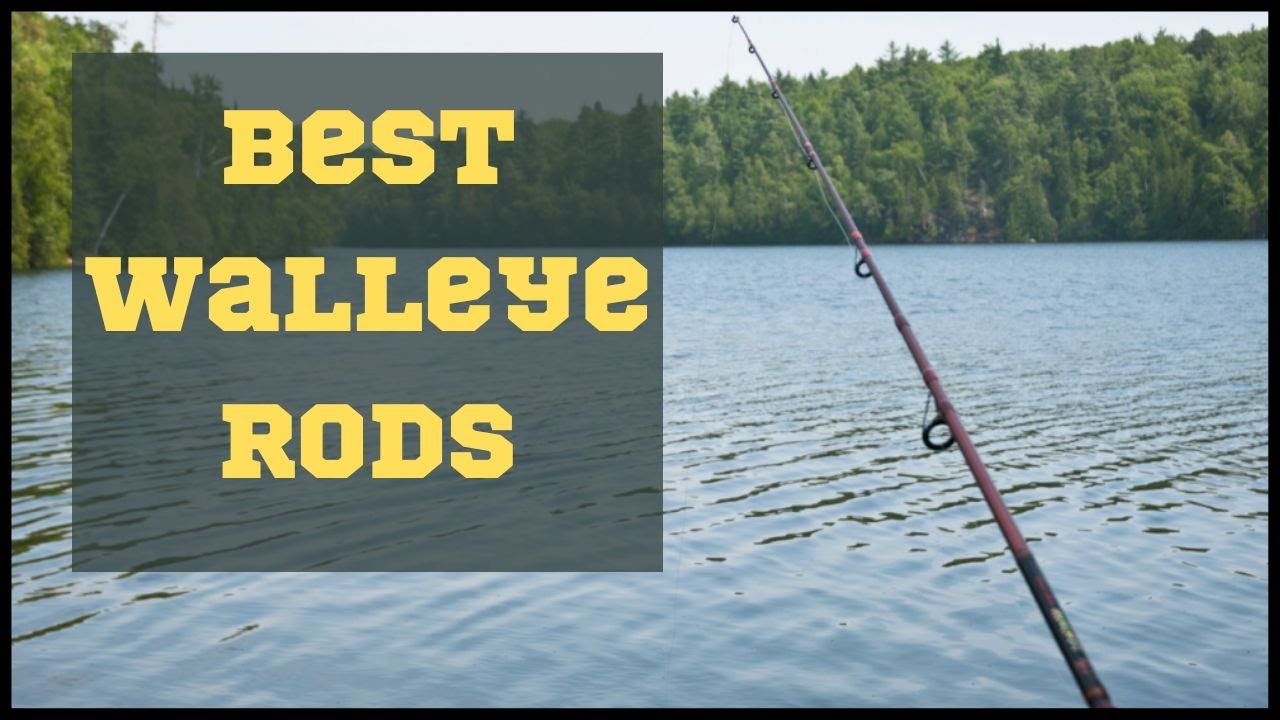 Best Walleye Rods Review in 2023 - YouTube