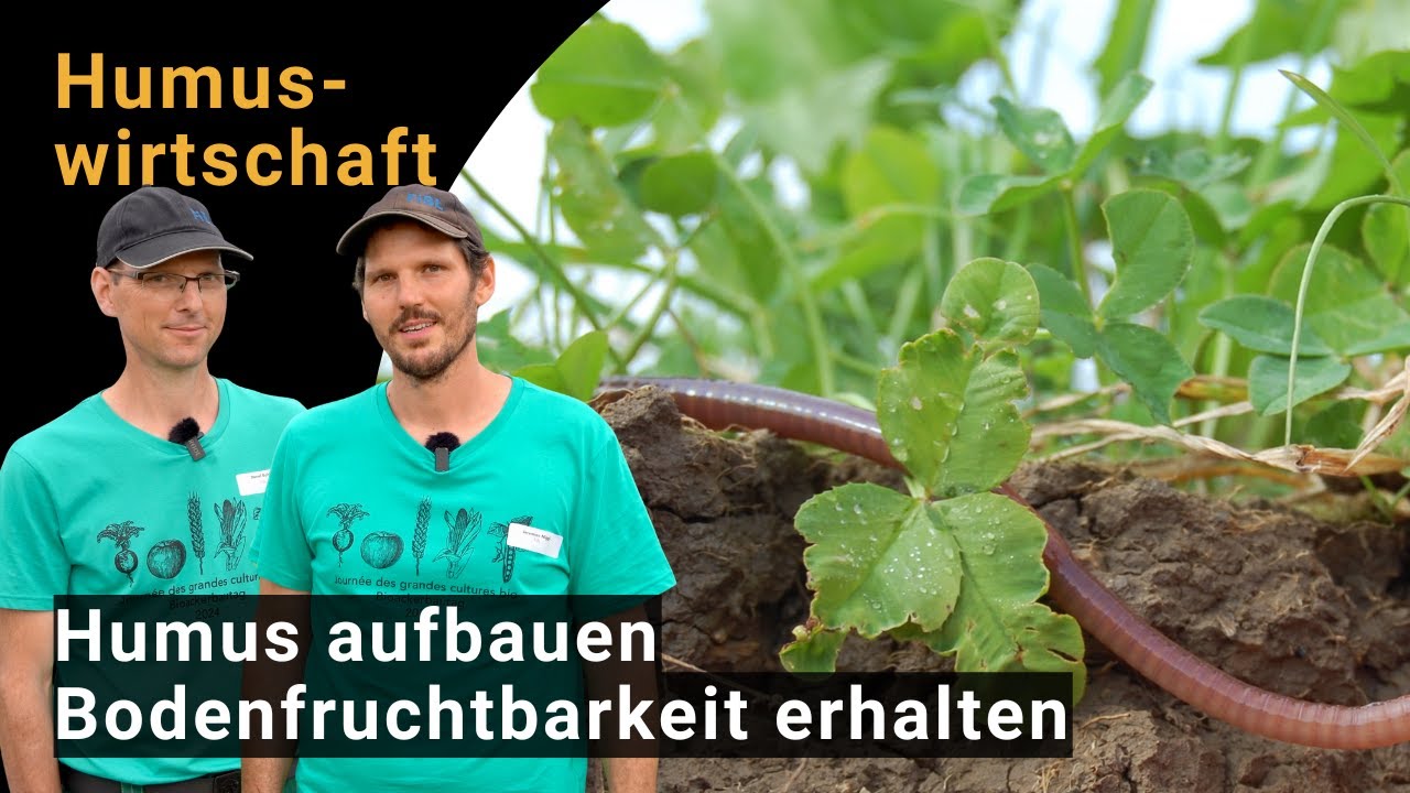 Humuswirtschaft: Humus aufbauen – Bodenfruchtbarkeit erhalten - YouTube