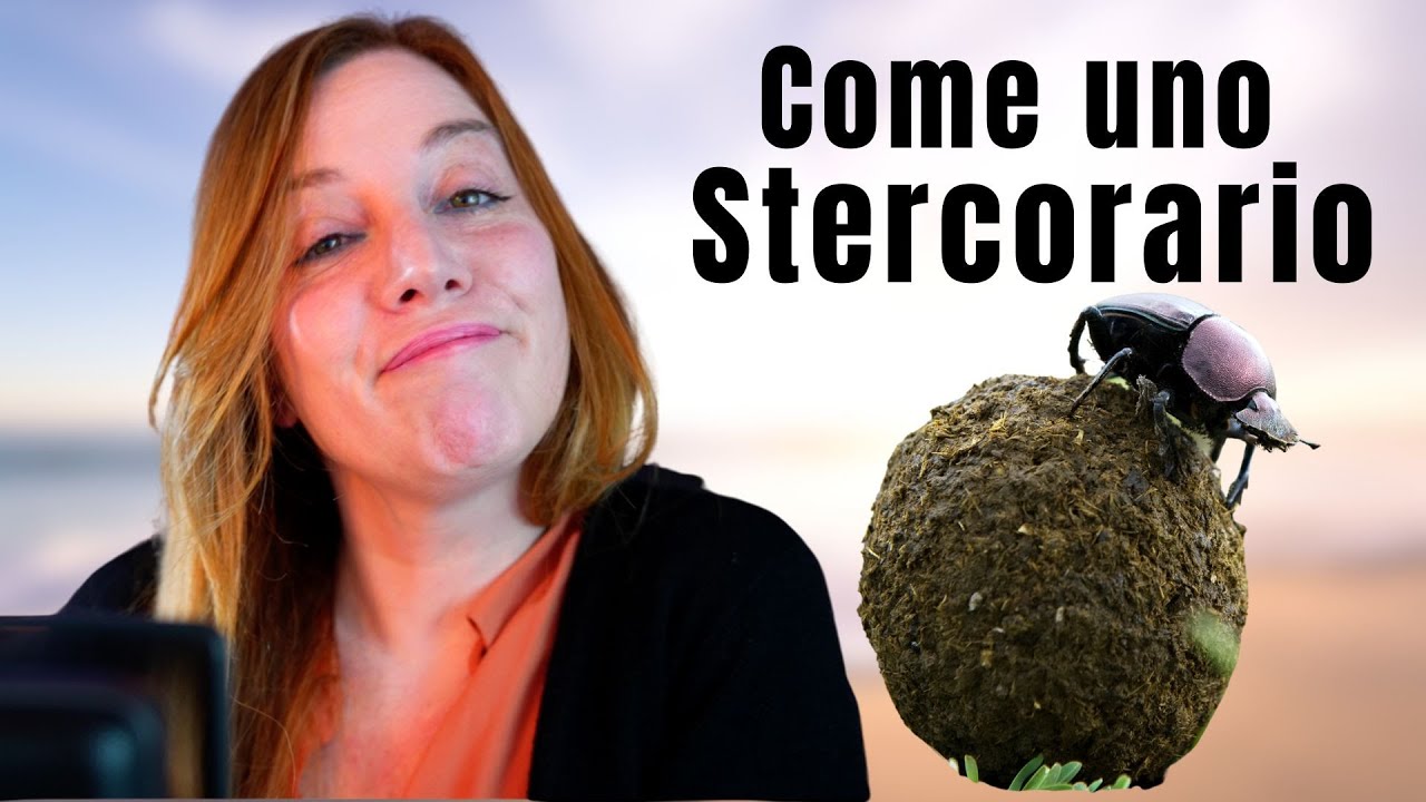 Come uno Stercorario ! - Elisa Martinelli - YouTube