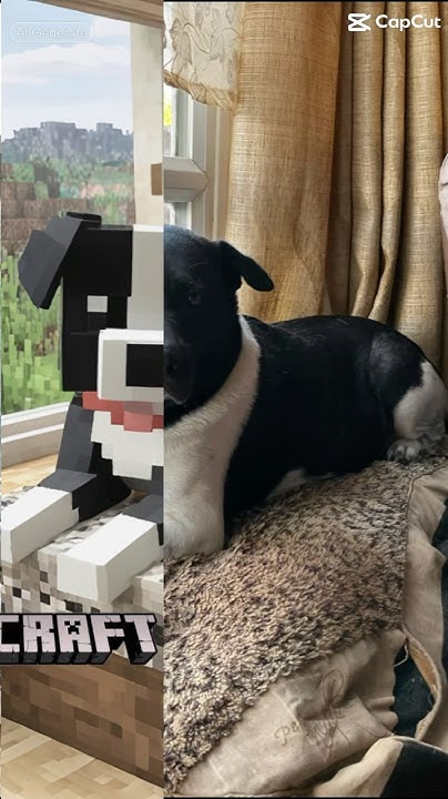 CapCut Minecraft Tess The Dog #aifilter #myworld #paganbibi #TessTheDog ...