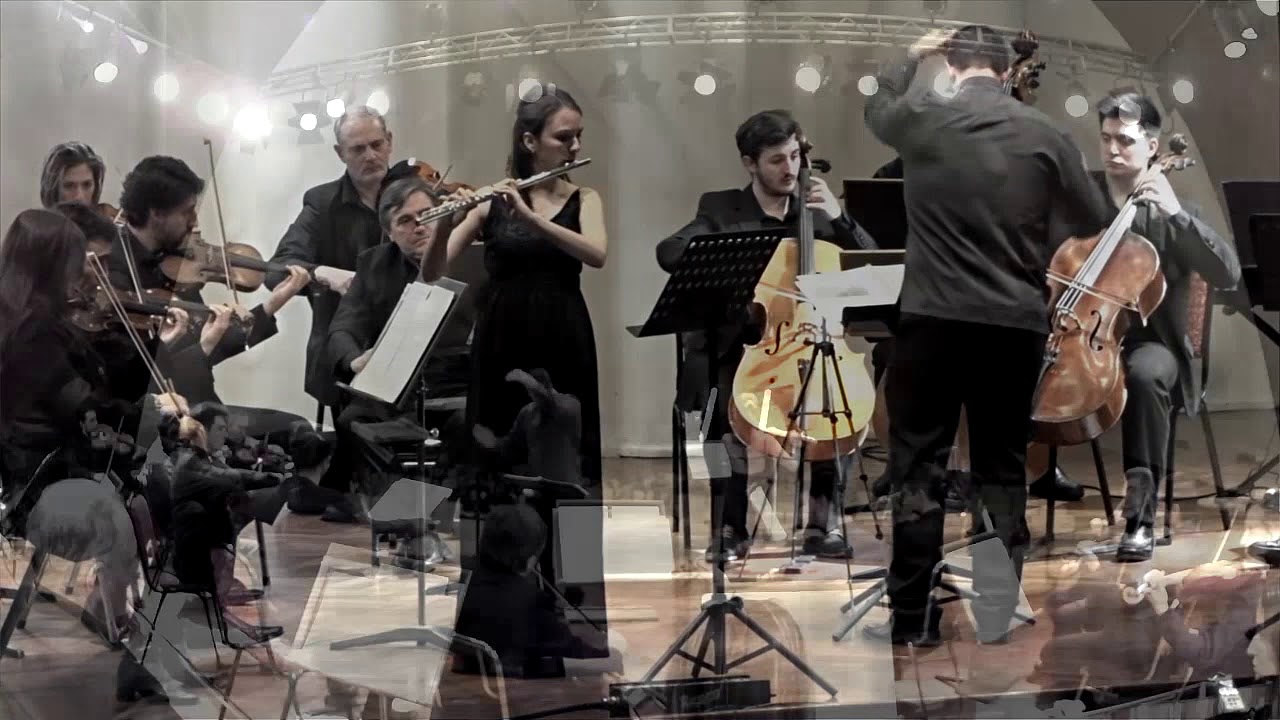 Carl Philipp Stamitz. Flute Concerto in G Major - YouTube