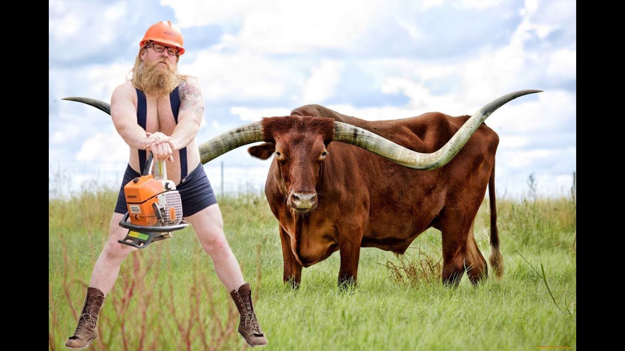 Incredible Cow Chicken Farm #WithMe HOOF New Modern Farming Automatic ...