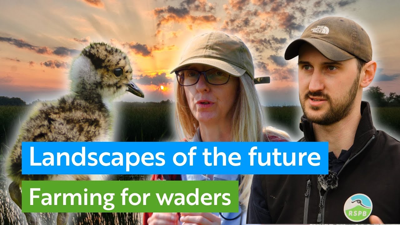 Landscapes of the future - farming for waders | RSPB - YouTube