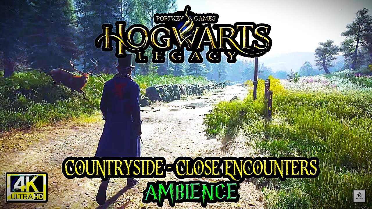 "Magical Countryside Walks & Close Encounters | Hogwarts Legacy ...