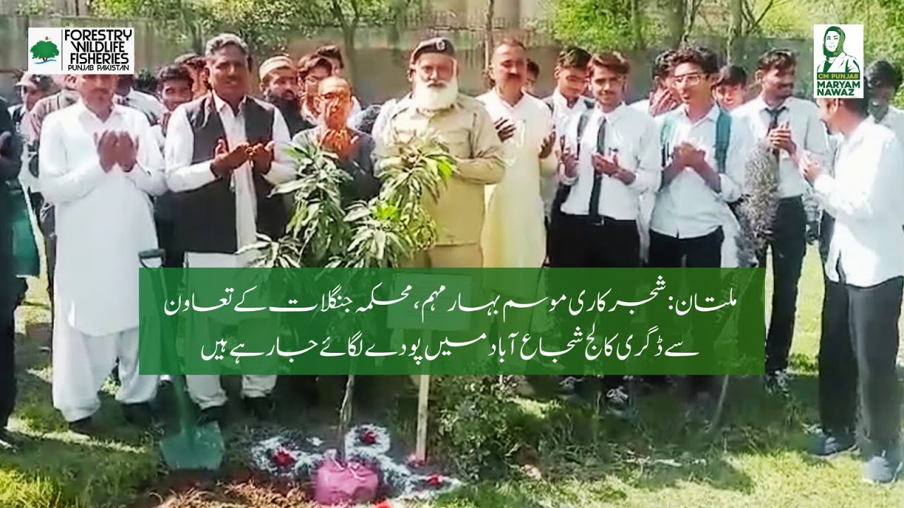 Spring Tree Plantation Campaign in Multan | Trees Planted at Degree ...