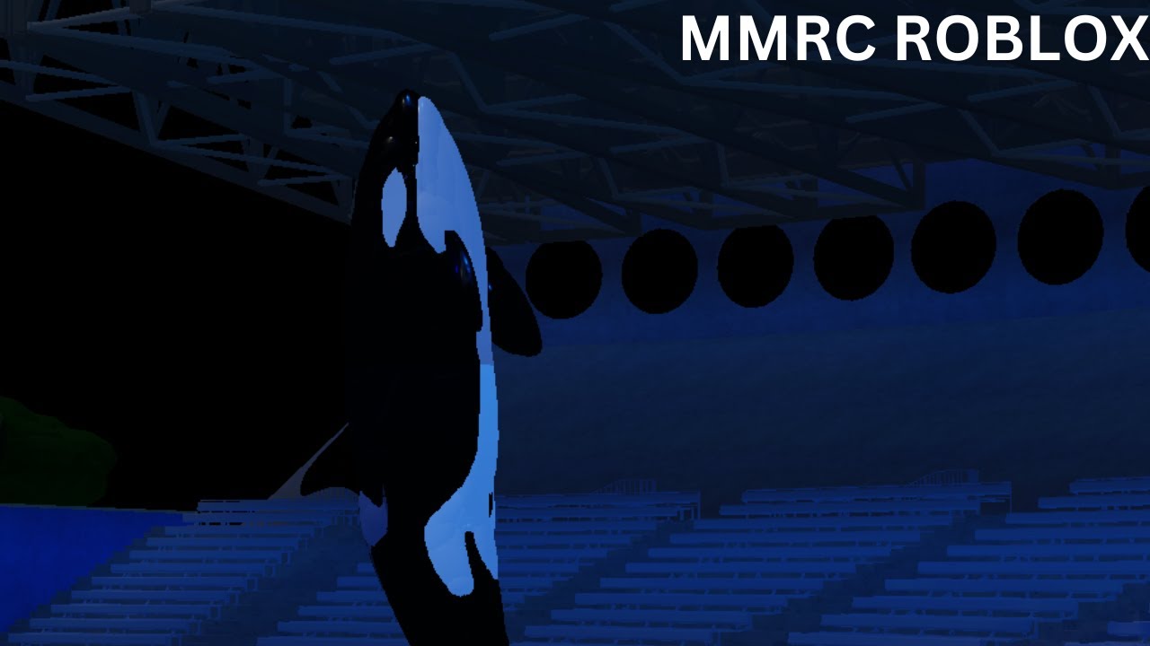 Night Orca Encounter | MMRC Roblox - YouTube