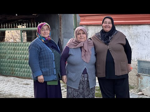 Bugün misafirimiz var 