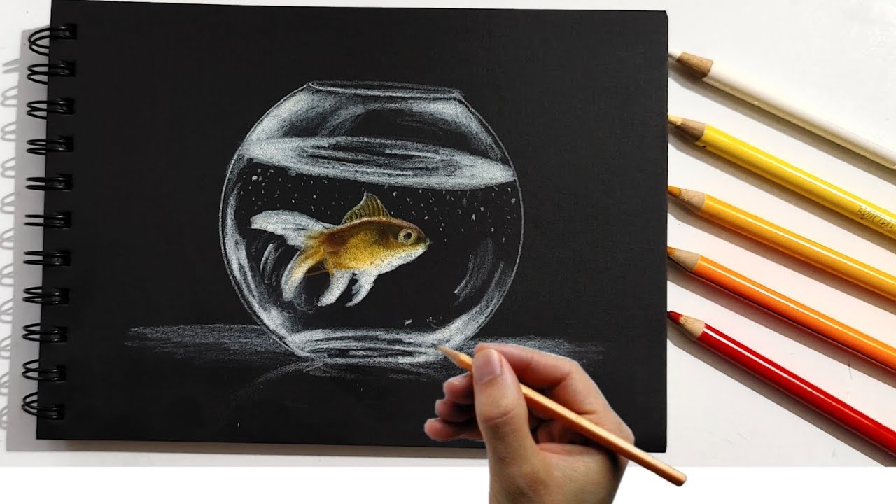 How to draw gold fish in an aquarium on black paper| white pencil on ...
