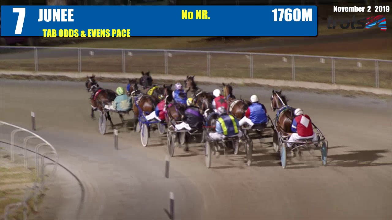 JUNEE - 02/11/2019 - Race 7 - TAB ODDS & EVENS PACE - YouTube
