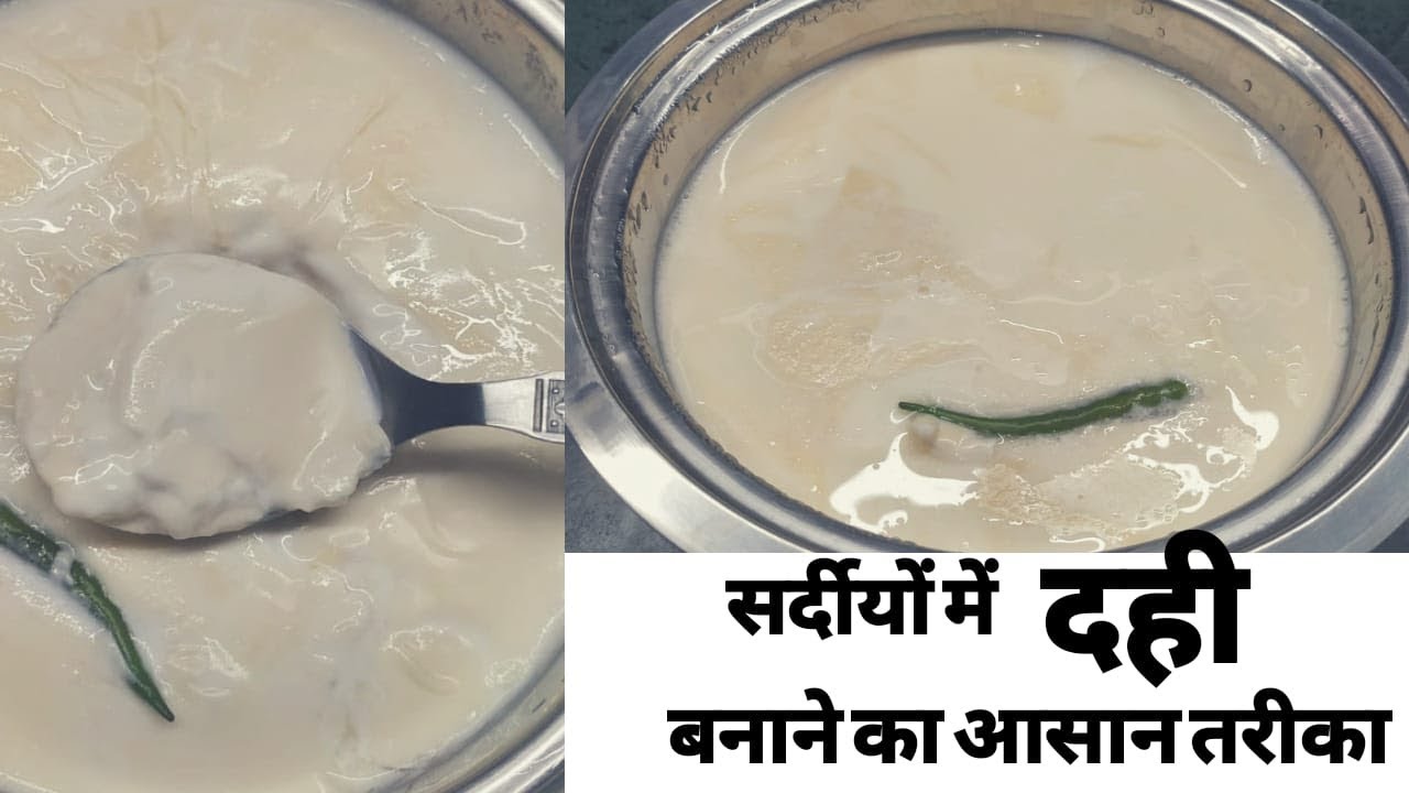 Curd Recipe | Make Dahi Or Curd at home | How to make curd | Rani's ...