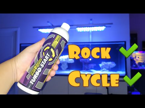 Filling Up The Red Sea S-1000 | Rock, Water, Sand, And, Cycle - YouTube