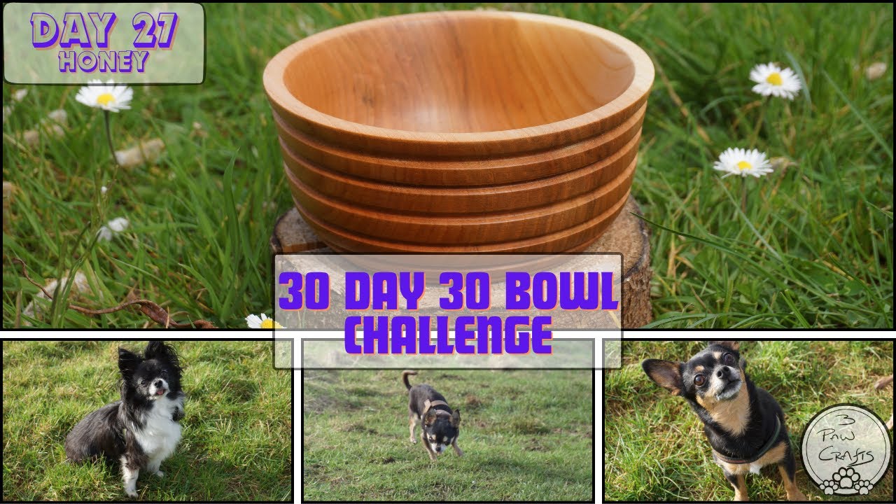 Woodturning 30 Day 30 Bowl Challenge Day 27 Honey Bowl - YouTube