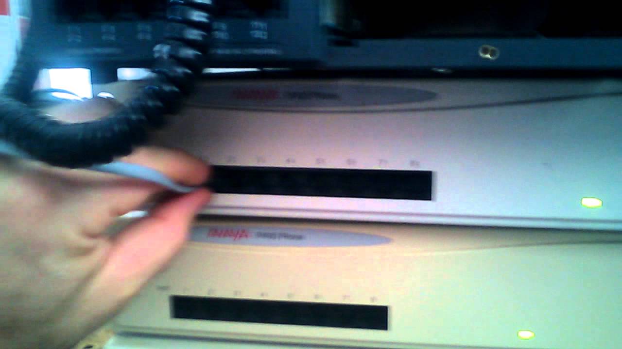 Avaya IP Office 400 Phone 16's working on an IP 500 V2 Processor - YouTube
