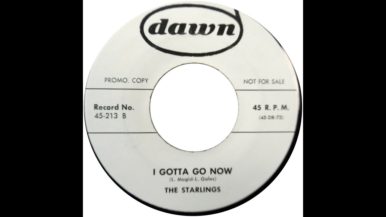 STARLINGS I GOTTA GO NOW - YouTube