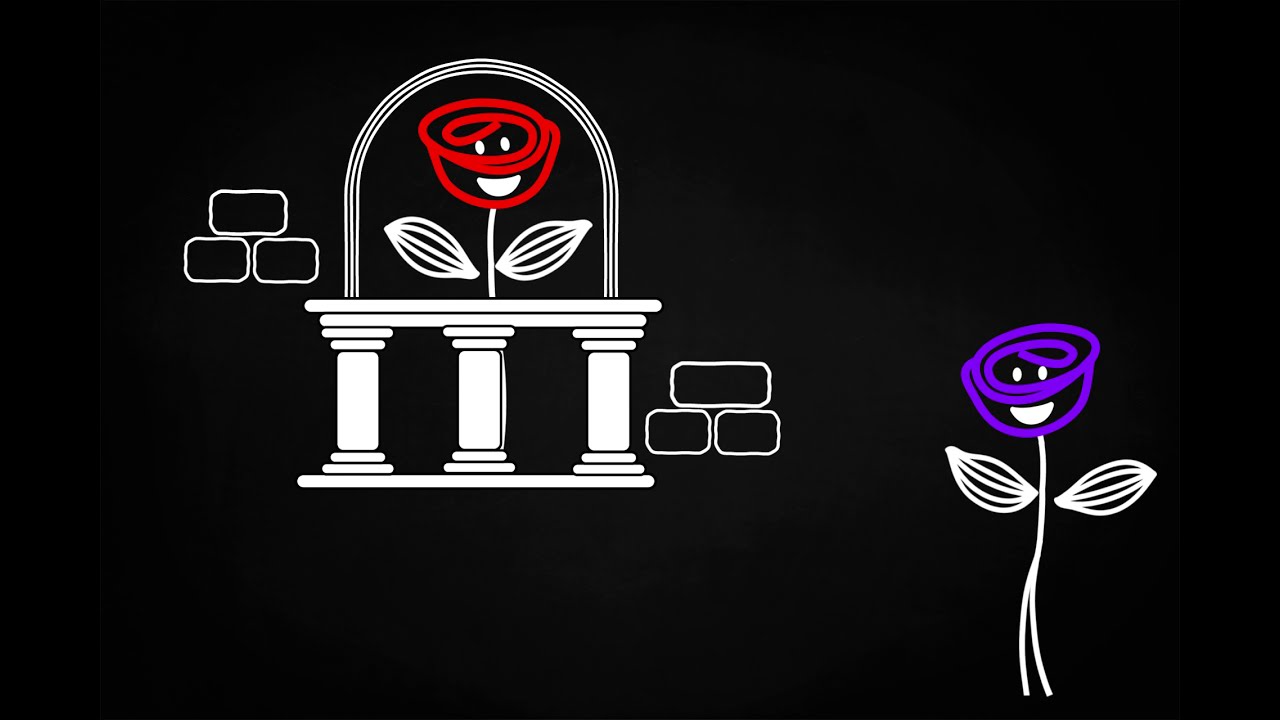 Flower Food For Thought®: A rose is not a rose… - YouTube