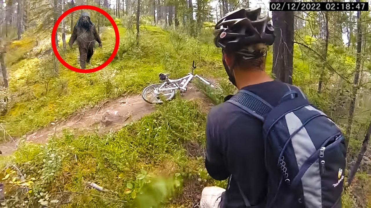 30 Scariest Bigfoot Encounters Caught on Camera - YouTube