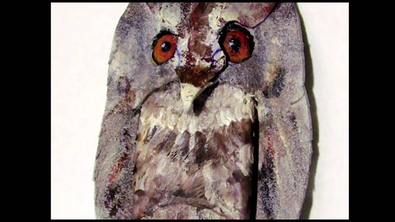 Wild Animal Maracas 6242014 - YouTube